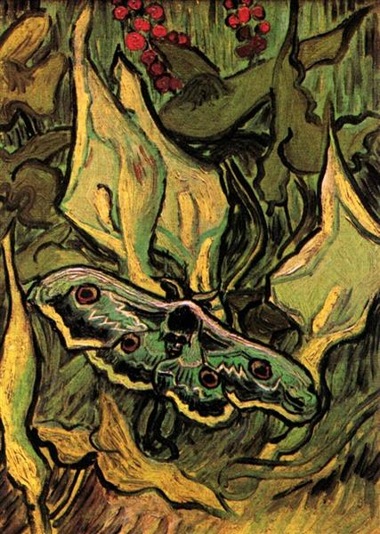 Great Peacock Moth (1889) by Vincent van Gogh — Van Gogh Museum – Blue ...